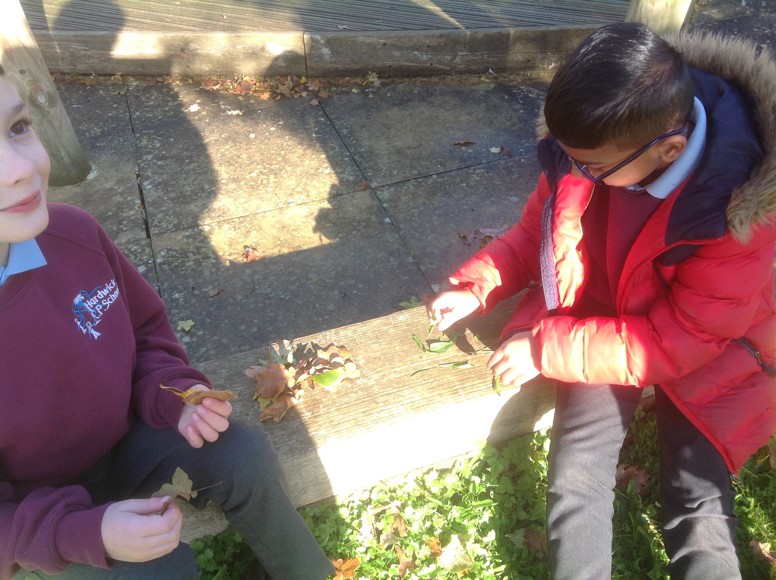 Gallery - Hardwick Primary School